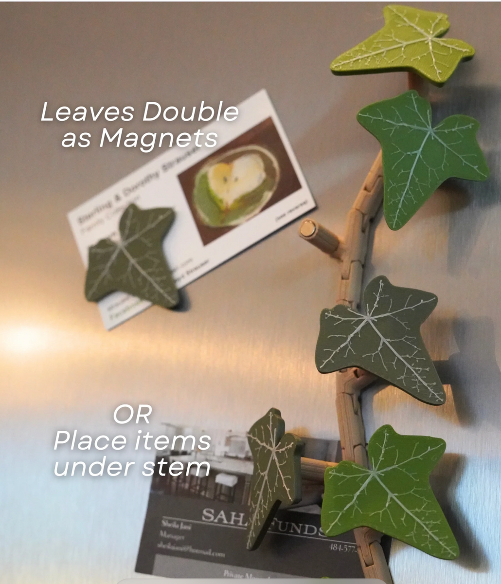 Magnetivy: The Climbing Fridge Magnet | ForgeCore Design – Dreaming3D